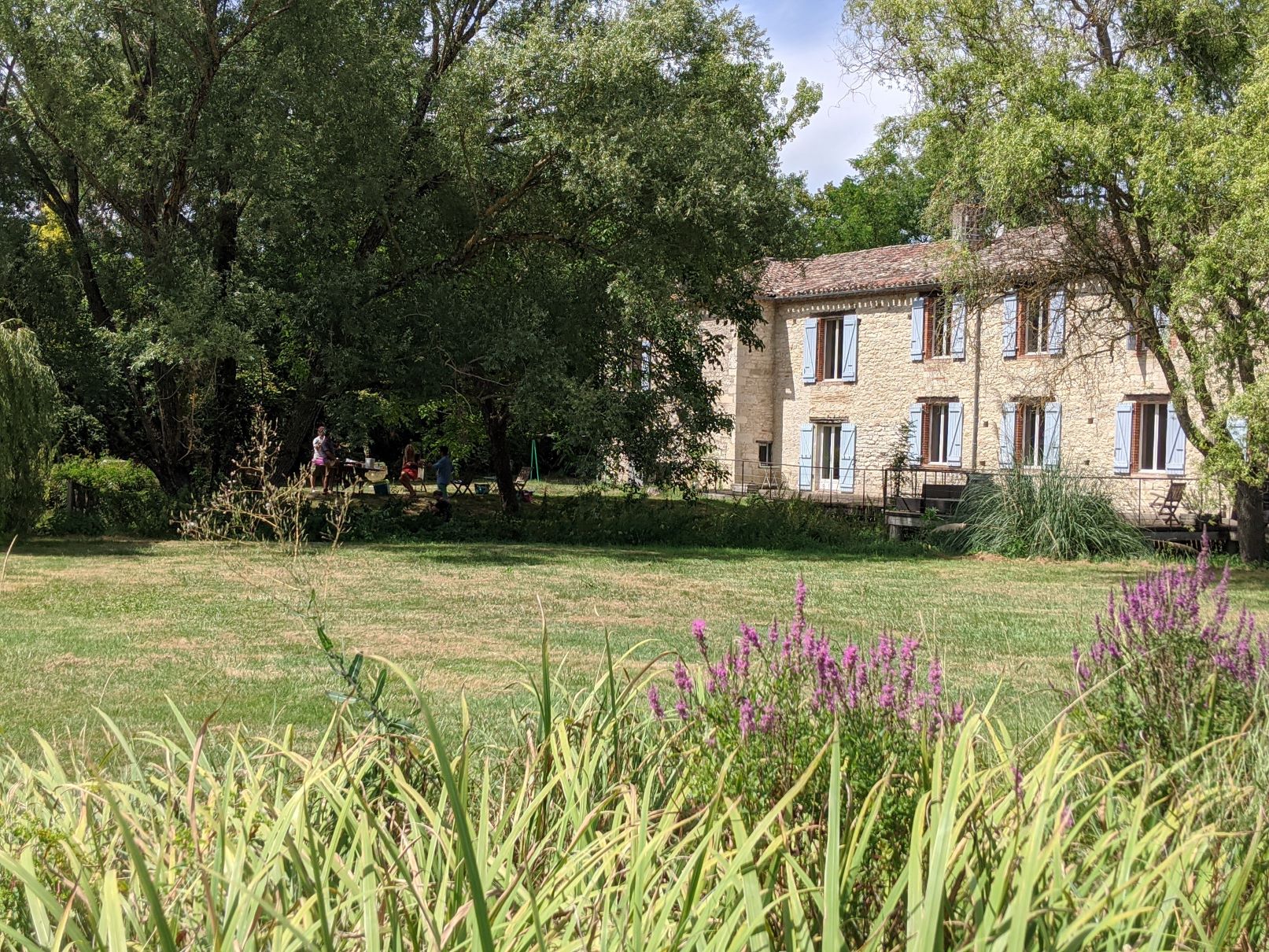 Property Search and Purchase in France